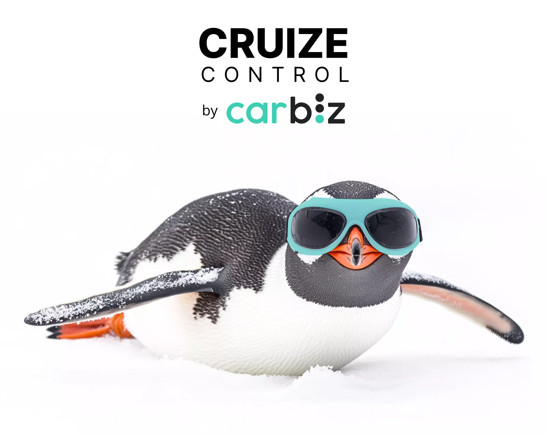 Cruize Control